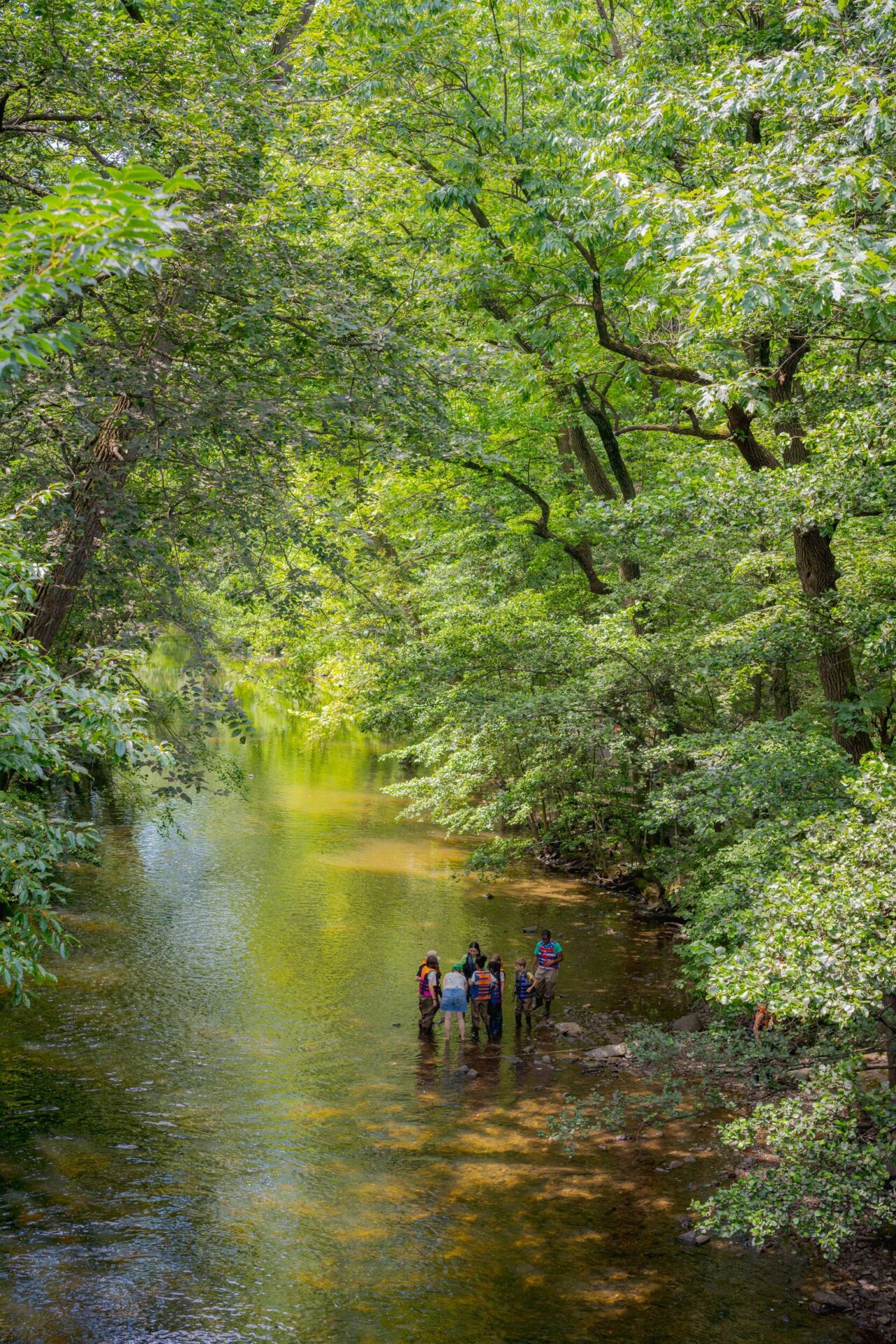 Nurturing Nature Initiative: Rooted Locally, Reaching Globally | New ...