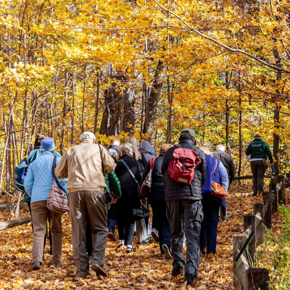 Fall Forest Weekend | New York Botanical Garden