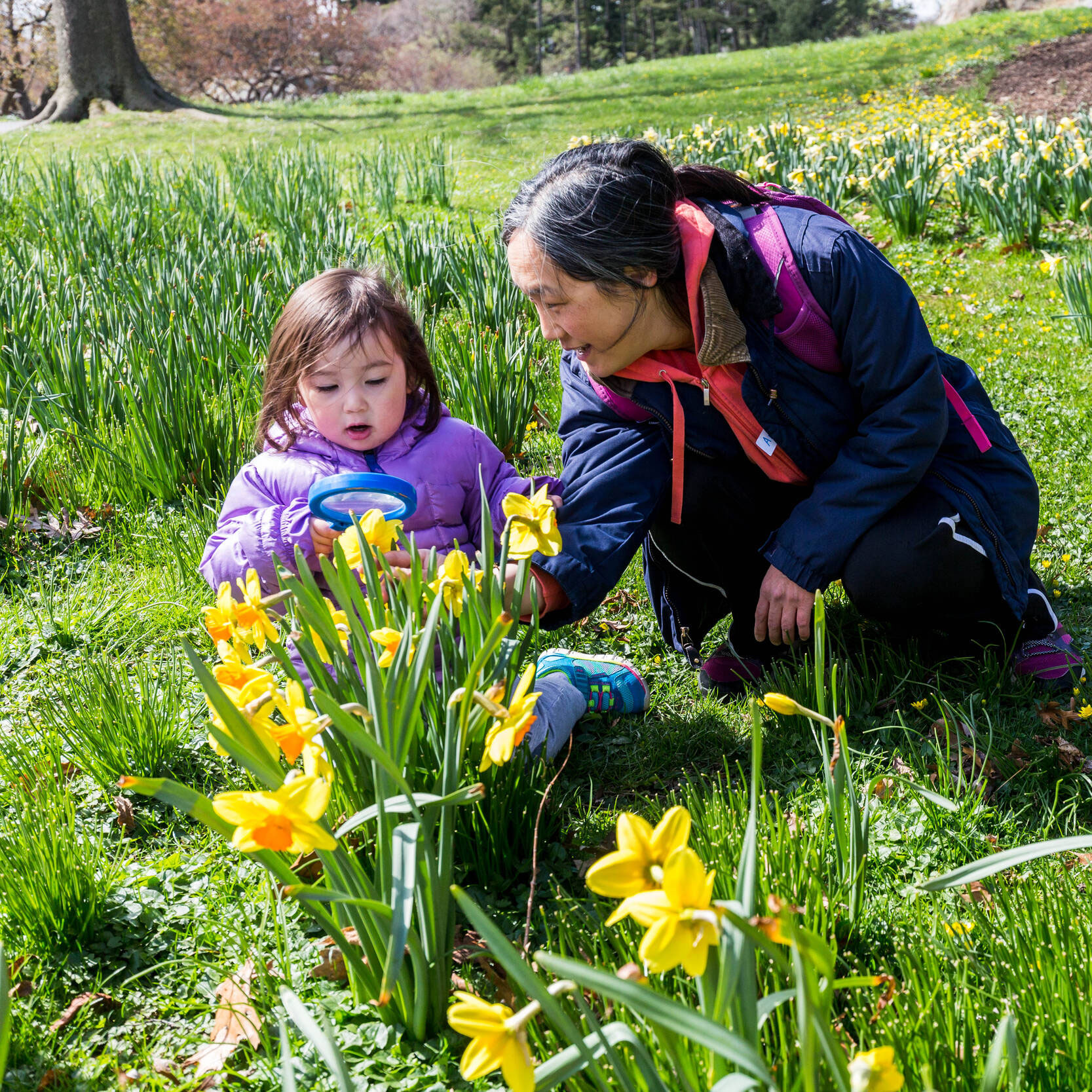 Camps | New York Botanical Garden
