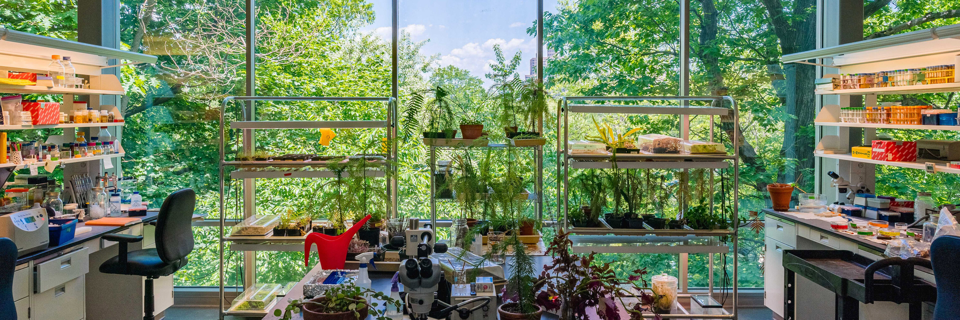 Science Strategy | New York Botanical Garden